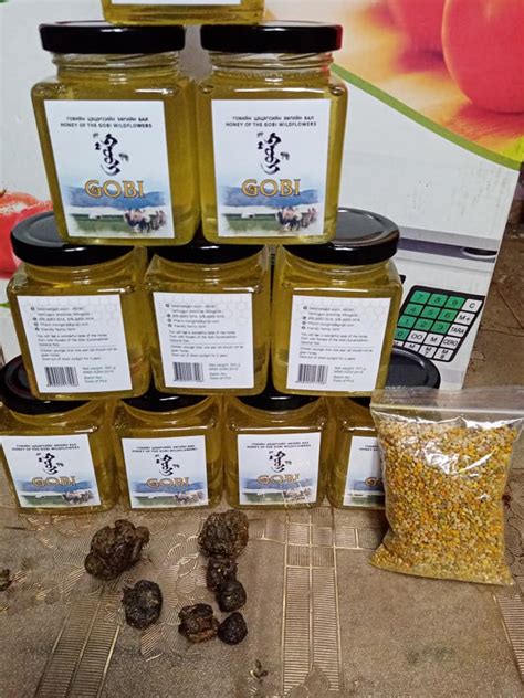 Өмнөговь зөгийн аж ахуй