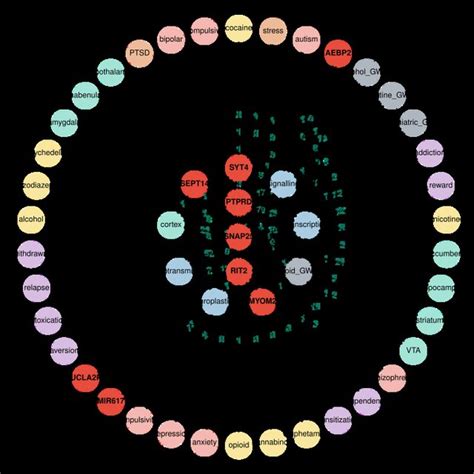An Interactive Cytoscape Graph Visualizing Gene Keyword Relationships