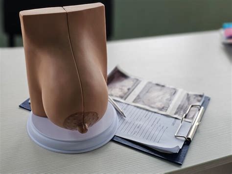 Detailed Anatomical Model Of Human Breast Used For Educational Purposes Premium Photo