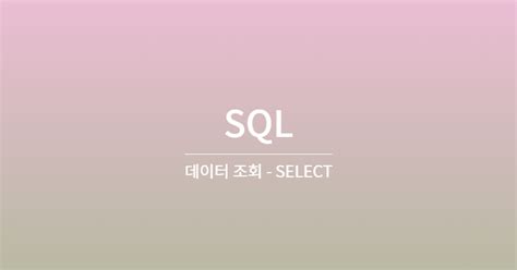 Sql 데이터 조회하기
