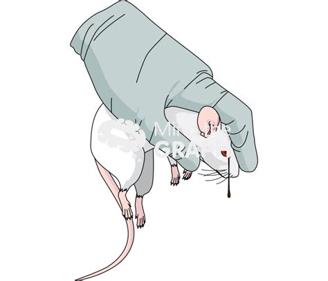 Swiss Retro Orbital Bleed 2