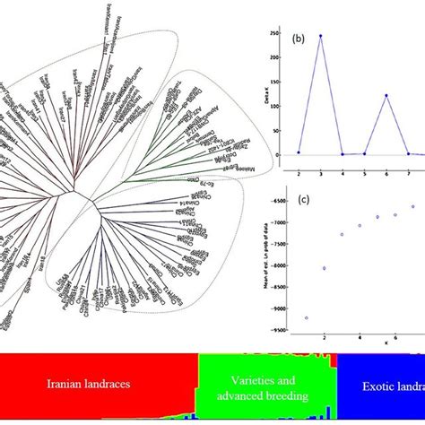 Maximum Composite Likelihood Model Tree Based On Cytochrome Oxidase I