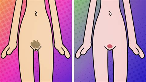 Rule 34 2girls Anonymous Female Brown Pubic Hair Female Female Focus
