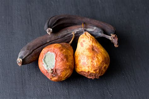 썩은 썩은 썩은 과일 바나나와 배를 버릇 검은 색 어두운 배경에 검은 바나나 손상된 제품 곰팡이 텍스트의 공간을 복사합니다 정물 열매 배에 대한 스톡 사진 및 기타 이미지