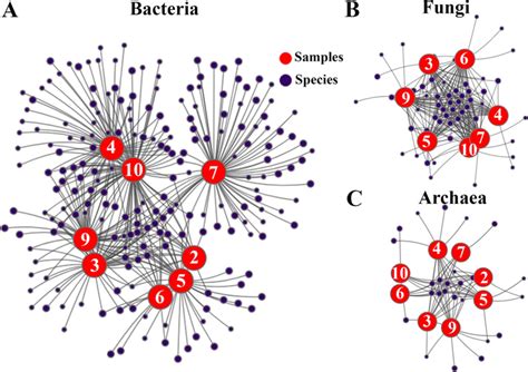Co-occurrence network analysis of bacteria (A), fungi (B) and archaea... | Download Scientific ...