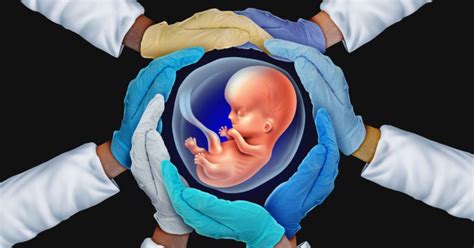 Synthetic Human Embryo Raises Ethical Issues Advanced Human Embryo Models Icdk