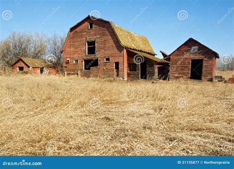 Abandoned Old Barn And Sheds In Dry Grass Stock Image Image Of Fall
