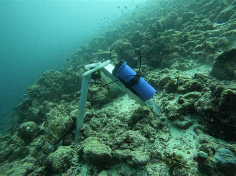 Adcp Cutting Edge Technology For High Precision Water Current Measurement Jack Dont Swim