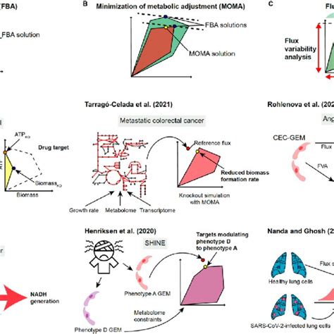 Representative Medical Applications Of Constraint Based Reconstruction