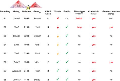 Of Findings Columns Show Specific Tad Boundaries B1 8 Deleted In This Download Scientific