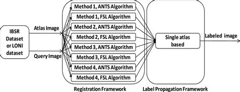 Methodology Used For Examining Atlas Based Segmentation Download Scientific Diagram