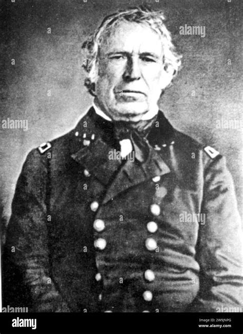 Zachary Taylor Portrait Stock Photo Alamy
