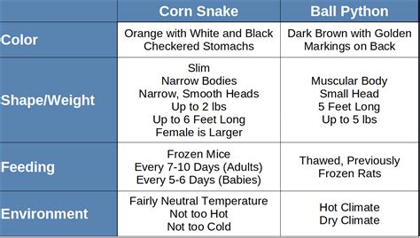 Corn Snake Vs Ball Python Which Is The Better Pet For You