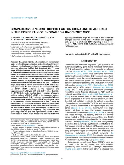 Pdf Brain Derived Neurotrophic Factor Signaling Is Altered In The Forebrain Of Engrailed 2