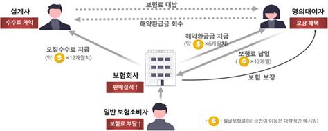 직원가족 명의 빌려 허위 보험계약 금감원 등록취소 등 강력 대응 파이낸셜뉴스