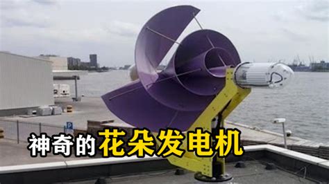 国外发明的“花朵风力发电机”，装上它，全年不用交电费腾讯新闻