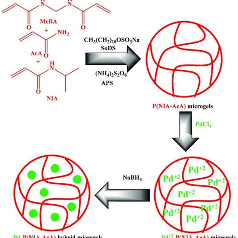 Synthesis Of Palladium Nanoparticles In Already Synthesized P Nia Aca Download Scientific