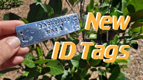 DIY PERMANENT Tree Tags YouTube