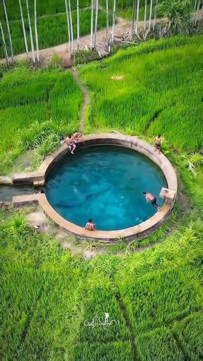 ඉන්දියාවෙ කේරල කියලද හිතුවේ නෑ මේ අපේ රටේ 😮🙈🇱🇰🇱🇰 Youtube