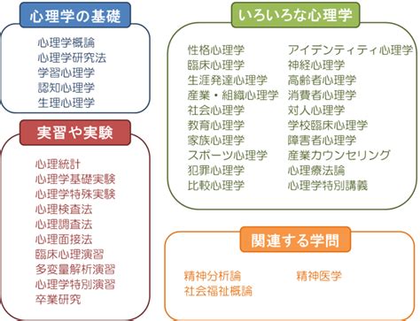 認知心理学の具体例と日常生活への影響