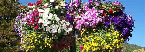 Our Sponsors Corte Madera Beautification Committee