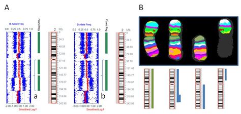 Cgh And Snp Array Using Dna Extracted From Fixed Cytogenetic Preparations And Long Term