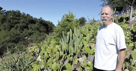 Nipomos Cactus Man Local