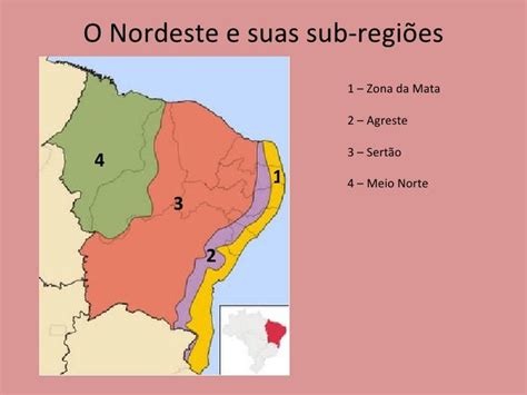 Região Nordeste Zona Da Mata