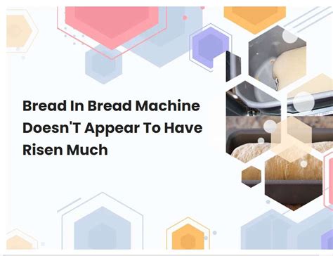 Bread In Bread Machine Doesnt Appear To Have Risen Much