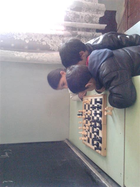 პორტფოლიო2 ჭადრაკი