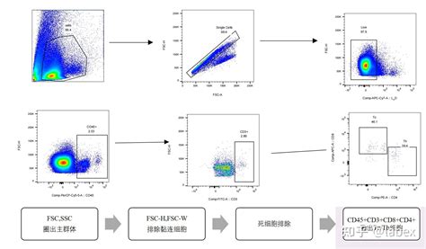 Labex 加油站——神经炎症的免疫学解决方案 知乎