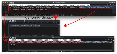 Python For Biologists Jun Inoue