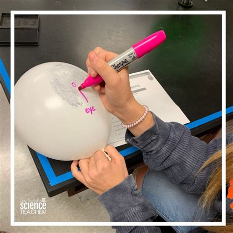 An Easy And Effective Way To Identify Minutiae Patterns ⋆ The Trendy Science Teacher