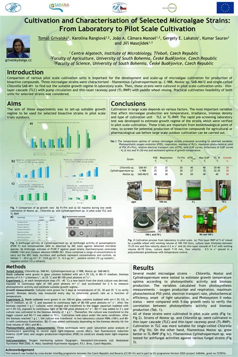 Pdf Cultivation And Characterisation Of Selected Microalgae Strains