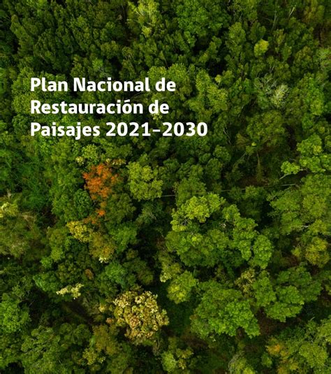 Chile Cuenta Con Su Primer Plan Nacional De Restauración Que