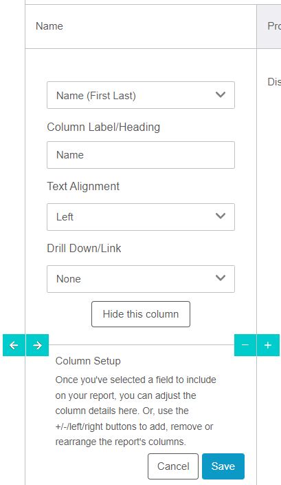 Understand Column Setup In Your Reports BigTime Software