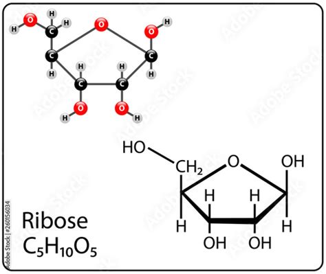 Ribose Molecule Structure Stock Image And Royalty Free Vector Files