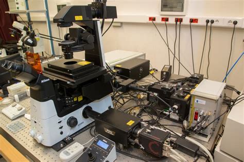Nikon Picoquant Flim Microscope Department Of Biophysics And Cell Biology