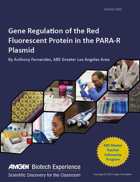 Gene Regulation Of The Red Fluorescent Protein In The Para R Plasmid Amgen Biotech Experience