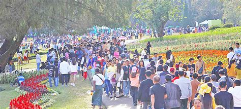 ပြင်ဦးလွင်မြို့ အမျိုးသား ကန်တော်ကြီးဥယျာဉ် နှစ် ၁၀၀ ပြည့် အထိမ်းအမှတ် ၁၇ ကြိမ်မြောက် ပန်းပ