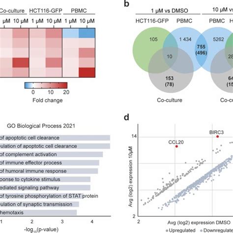 Pitavastatin Treatment Increases The Expression Of Tumor Suppressor Download Scientific Diagram