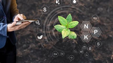 Agriculture Drone Spraying And Crop Health Monitoring