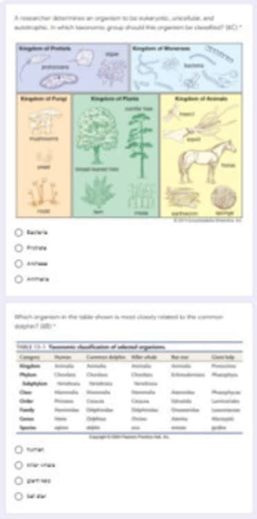 Biology Staar Test Taxonomy Classification Biology Unit Test Cumulative Exam