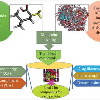 Graphical Representation Of This Study Download Scientific Diagram