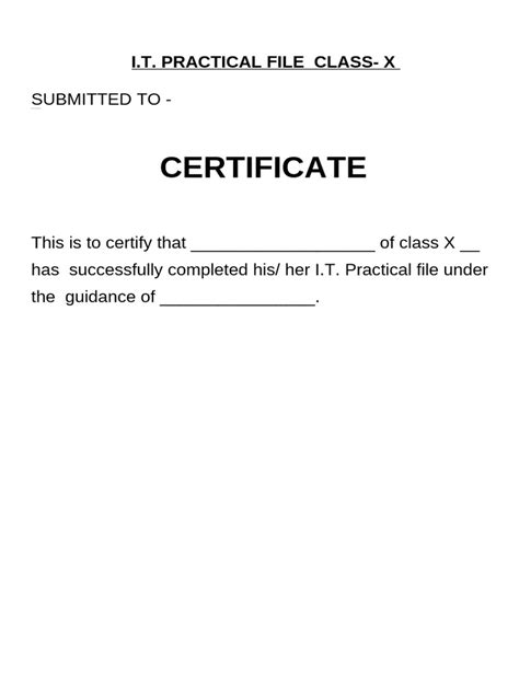 Class 10 Practical File Pdf Spreadsheet Computing