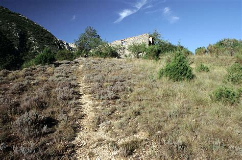 Sentier Du Bastidon En 1997 Free Download Borrow And Streaming Internet Archive