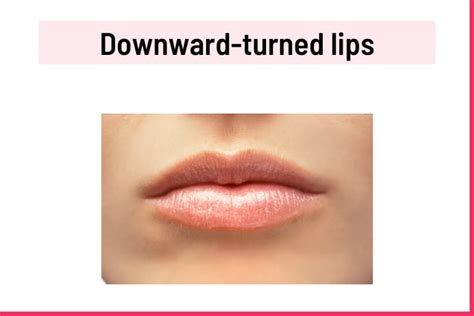 Different Types Of Lips Their Shapes And Sizes With Lip Chart