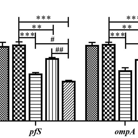 Schematic Examples Of The Types Of Staphylococcus Aureus Infections