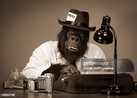 Monkey Typewriter Photos And Premium High Res Pictures Getty Images Monkey Typewriter Photos And Premium High Res Pictures Getty Images