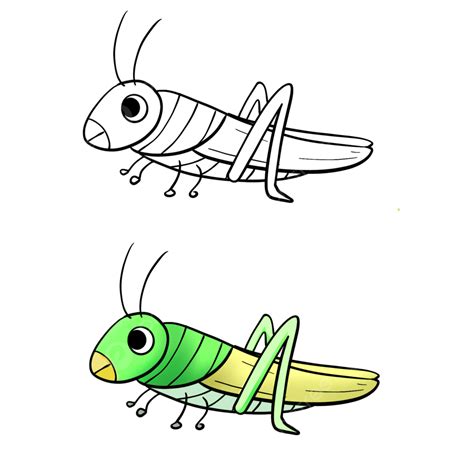 simple grasshopper drawing